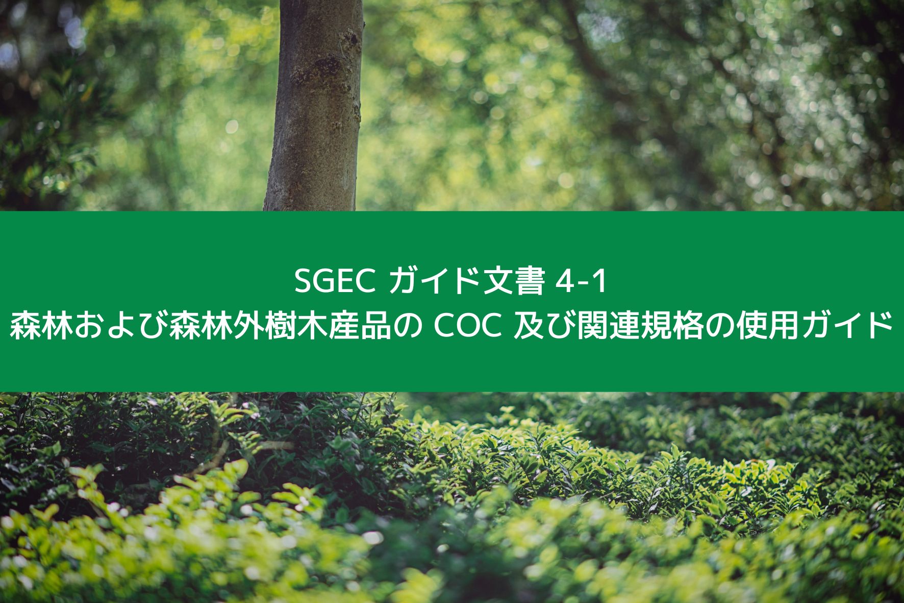 ニュースレターVol.57 - 森林認証SGEC/PEFCジャパン